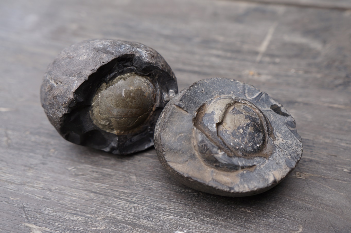 August | 2016 | Shaligram Ethnography