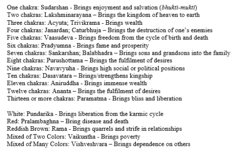 Shaligram Interpretive Practice (Color) | Shaligram Ethnography